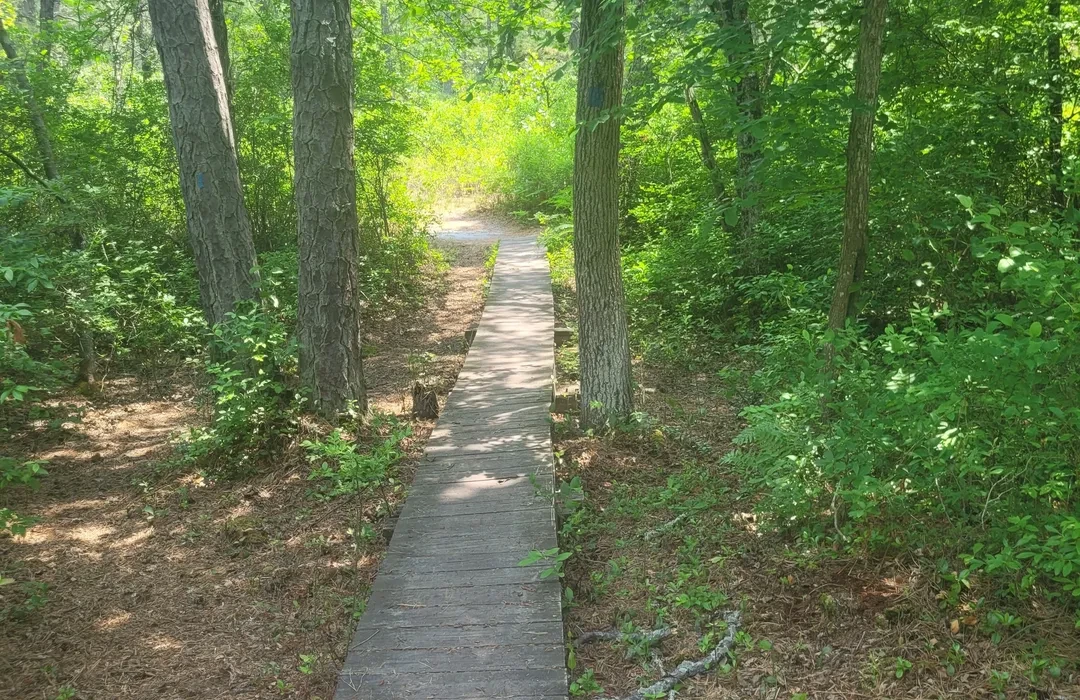 Guided Nature Walks - Explore New Jersey