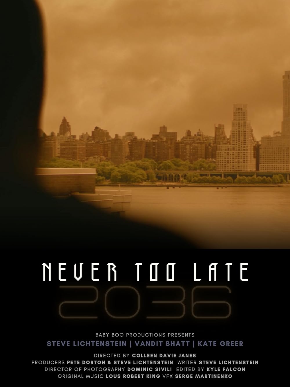 Steve Lichtenstein Launches ‘Never Too Late,’ Spotlighting Independent ...