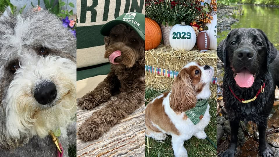 Delbarton Student Turns Puppy Pride into Powerful Community Fundraiser ...