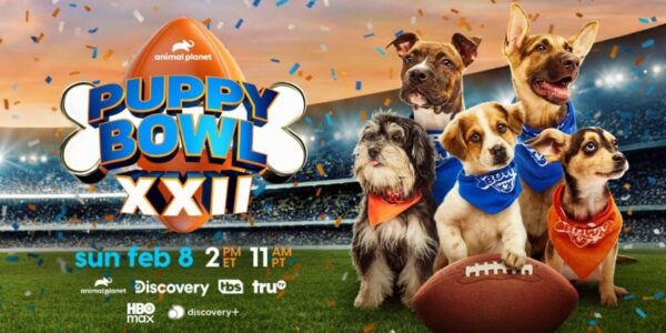 3 New Jersey Rescue Pups at Puppy Bowl XXII - Explore New Jersey
