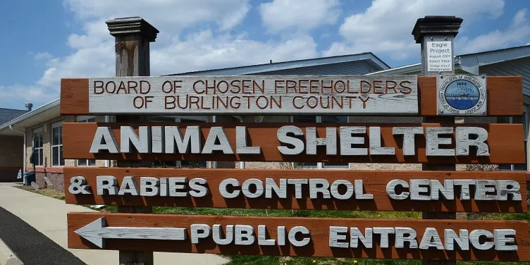 Burlington County Animal Shelter - Explore New Jersey